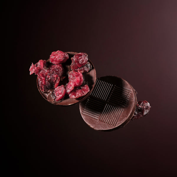 Dark Chocolate Cranberry Florentine – DARK SUGARS COCOA HOUSE